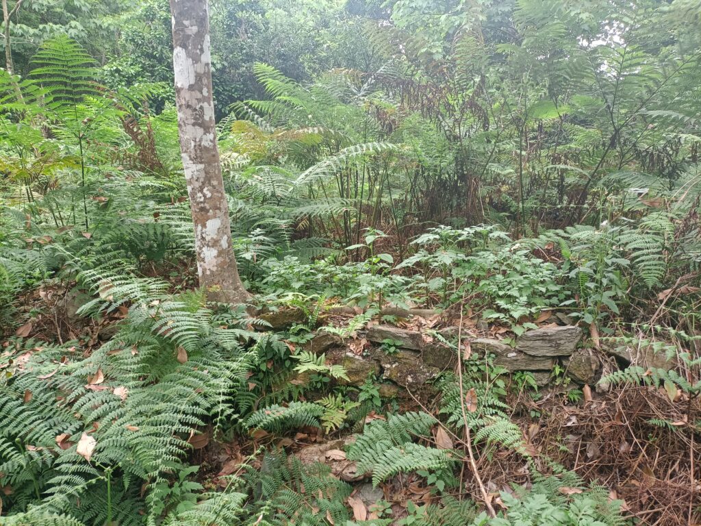 Old Wuda And the Revitalization of Culture – Lost Places