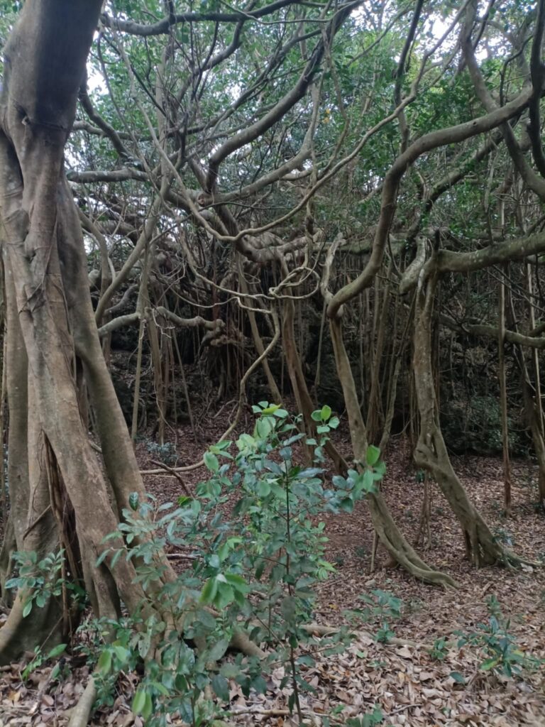 Kending: Greed and misjudgment – Lost Places